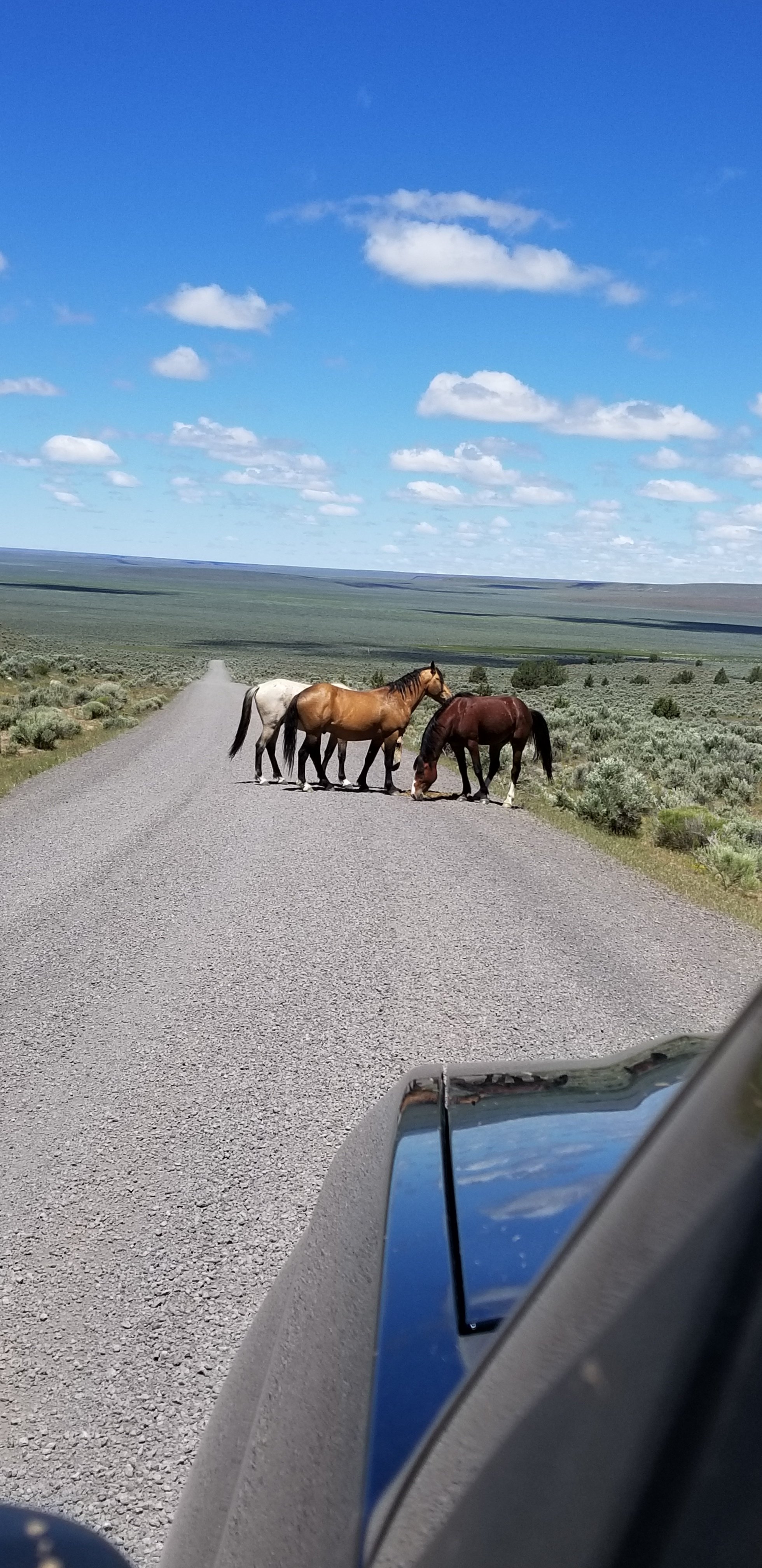 Explore the Alvord Desert in Oregon – 33andfree