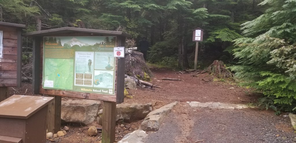 Hike to Marion Falls in Oregon – 33andfree
