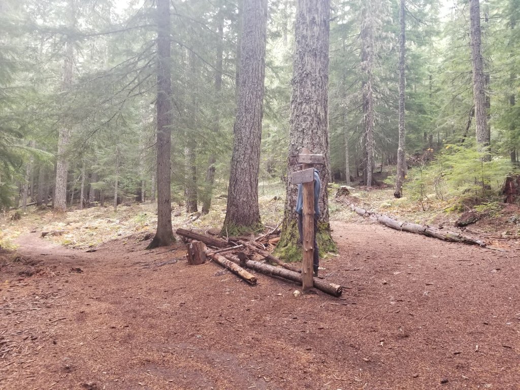 Hike to Marion Falls in Oregon – 33andfree