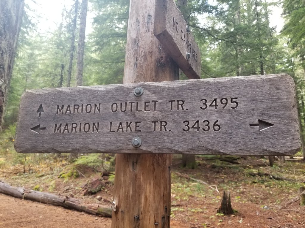 Hike to Marion Falls in Oregon – 33andfree