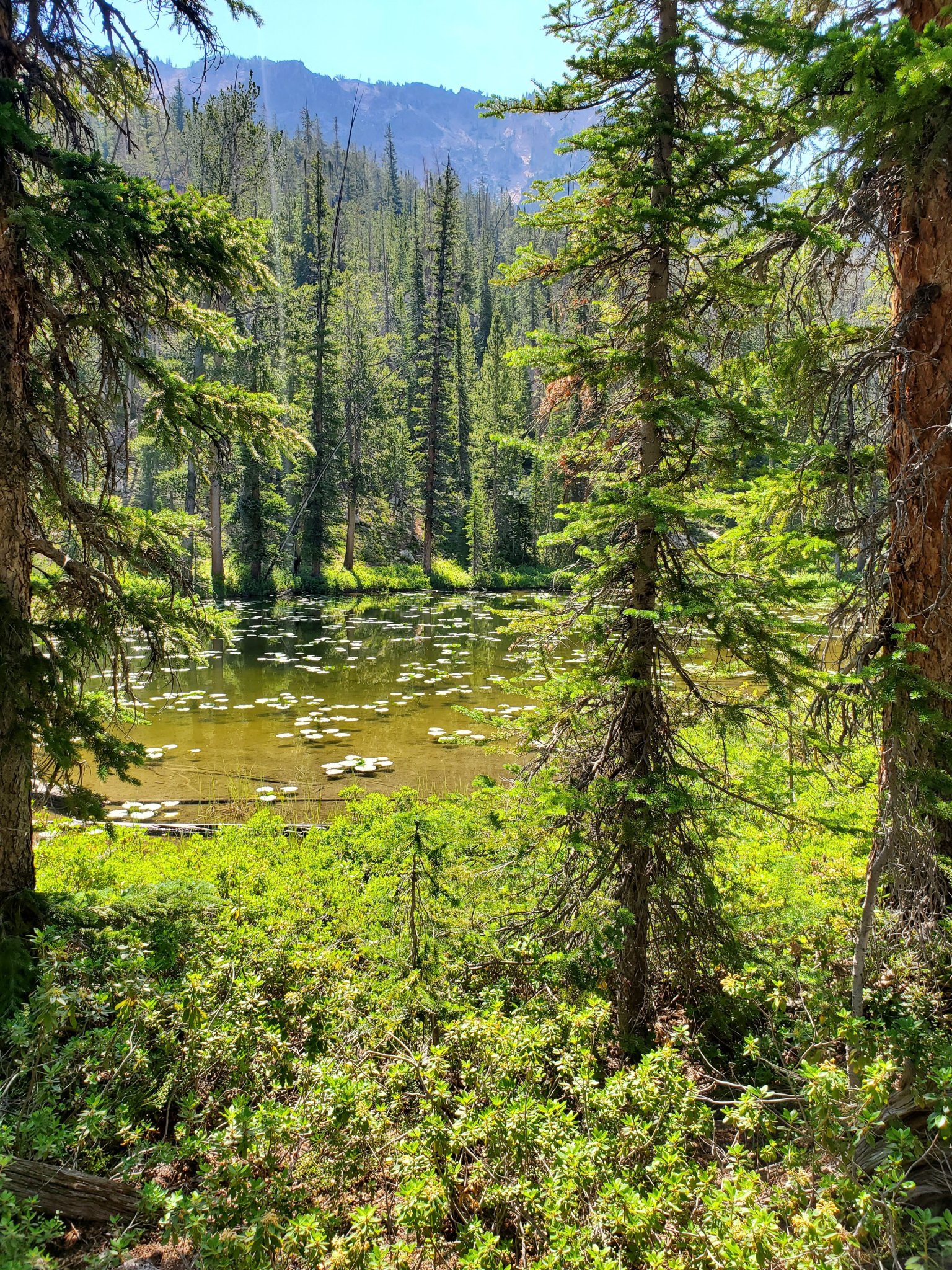 Hike to Imogene Lake via Hell Roaring Trail – 33andfree