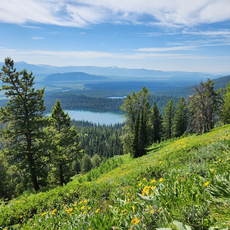 Hike to Delta Lake in Grand Teton National Park – 33andfree