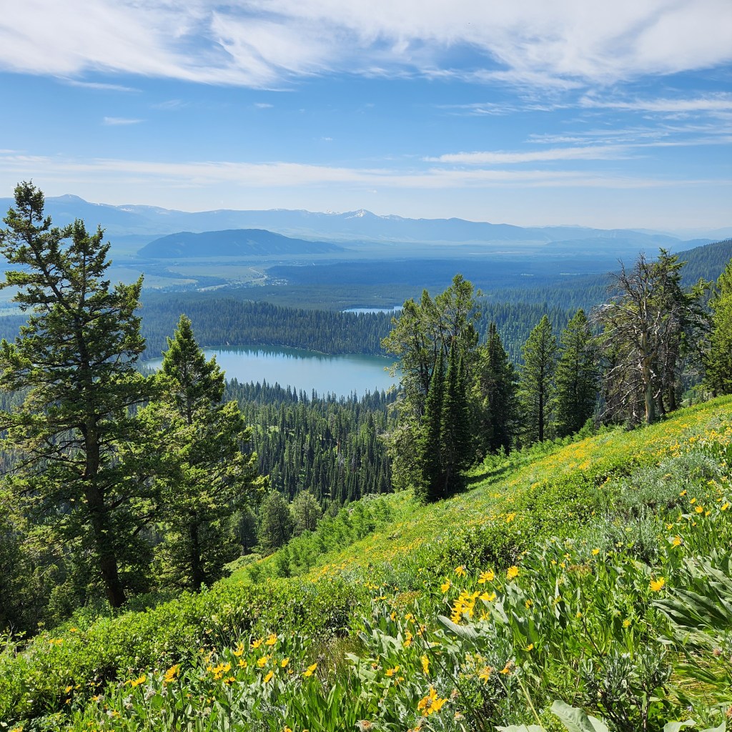 Hike to Delta Lake in Grand Teton National Park – 33andfree