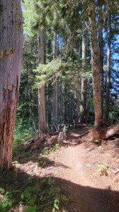 Hike Ape Canyon to Windy Ridge in Mount St. Helens National Volcanic ...