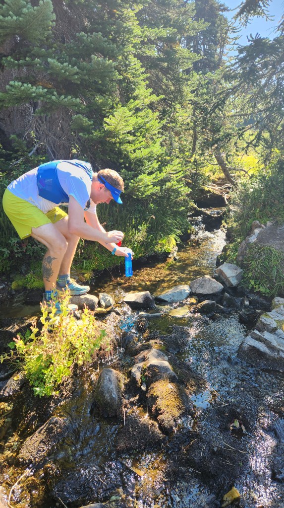 Hike Panorama Ridge Trail in Garibaldi Provincial Park – 33andfree