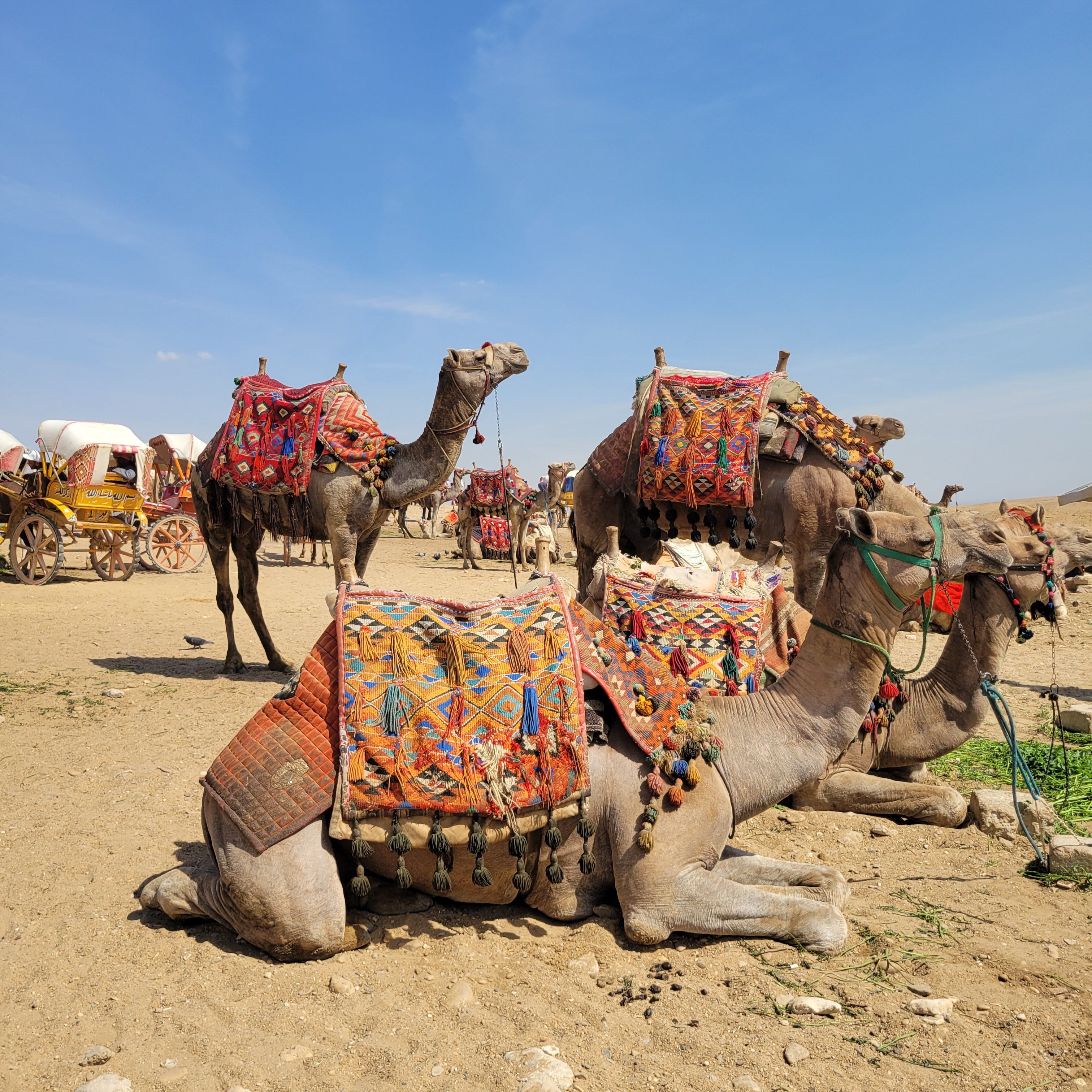 The Best Things to Do In Cairo, Egypt – 33andfree