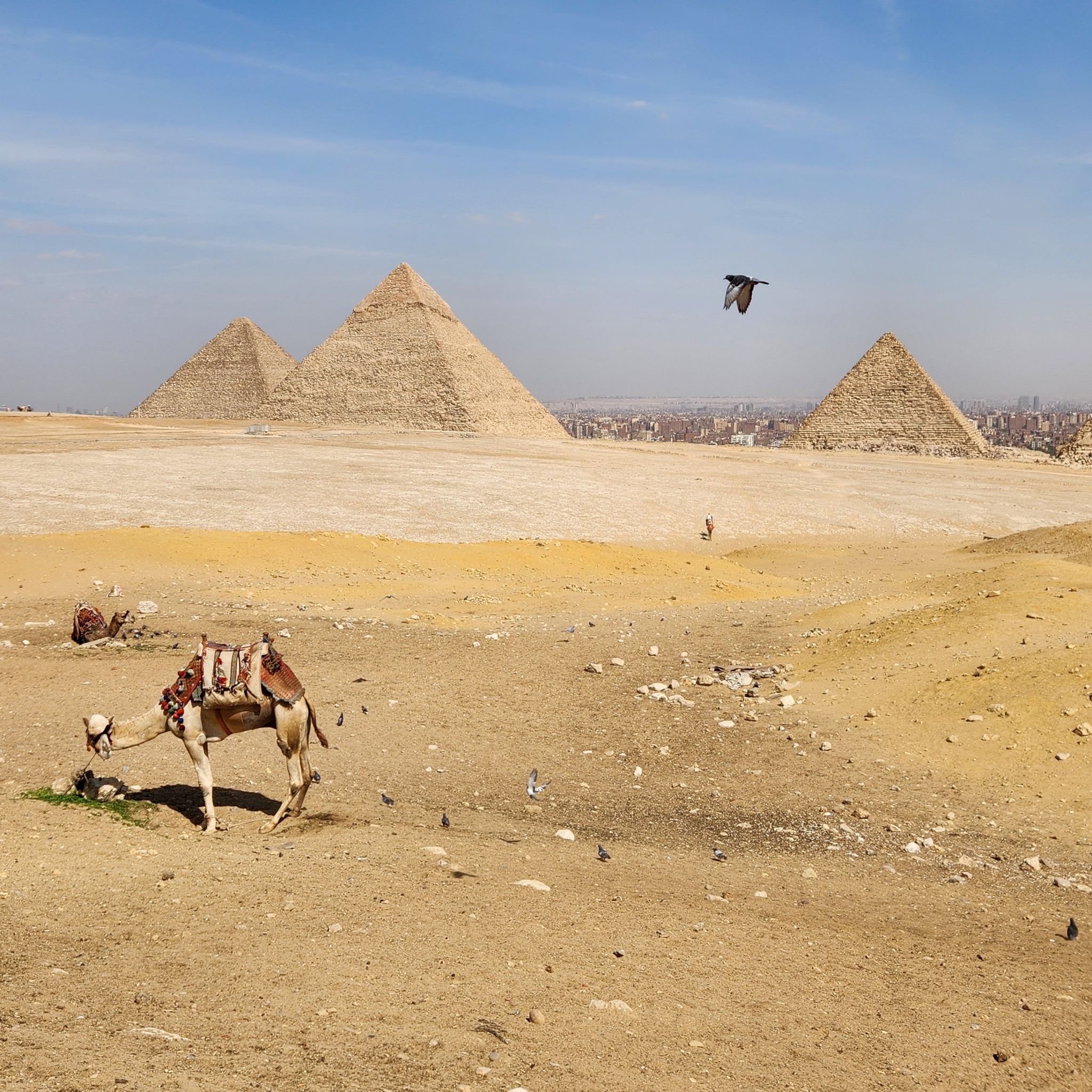 The Best Things to Do In Cairo, Egypt – 33andfree