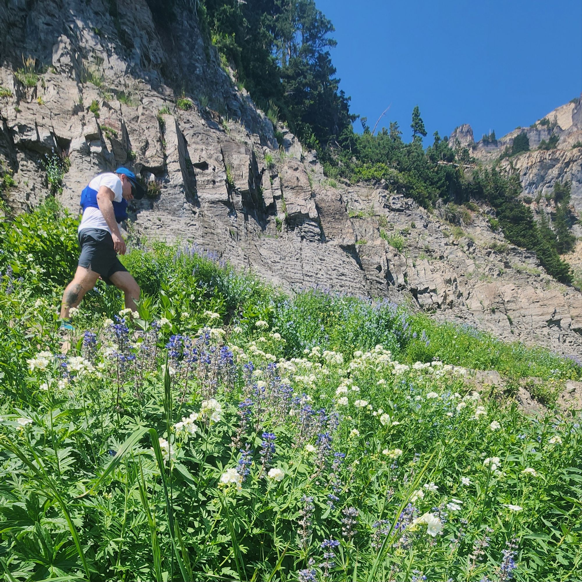 Hike to Emerald Lake via Mount Timpanogos Trail in Utah – 33andfree