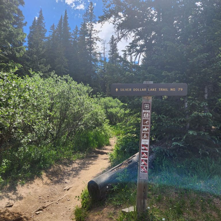 Hike Silver Dollar Lake Trail in Colorado – 33andfree