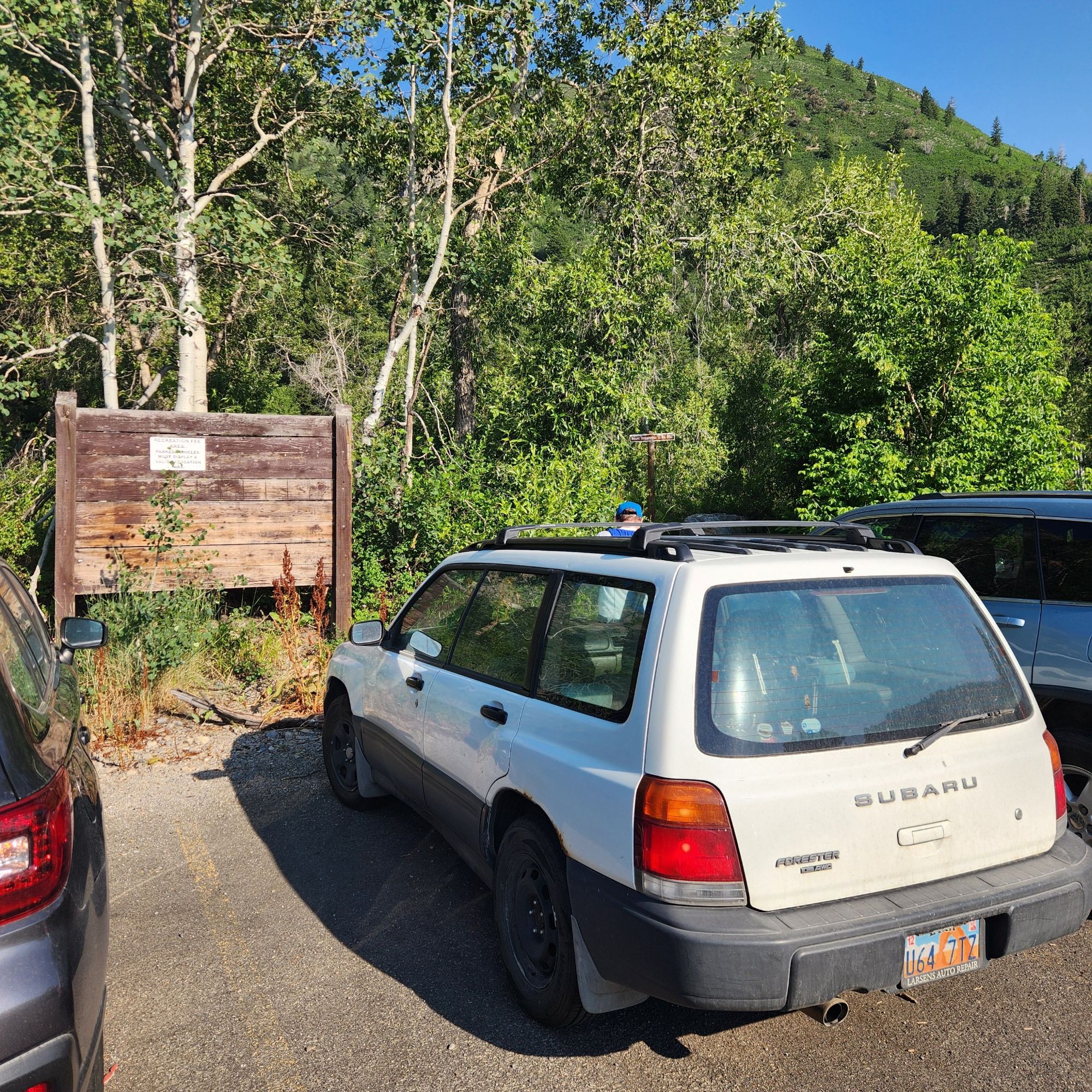 Hike to Emerald Lake via Mount Timpanogos Trail in Utah – 33andfree