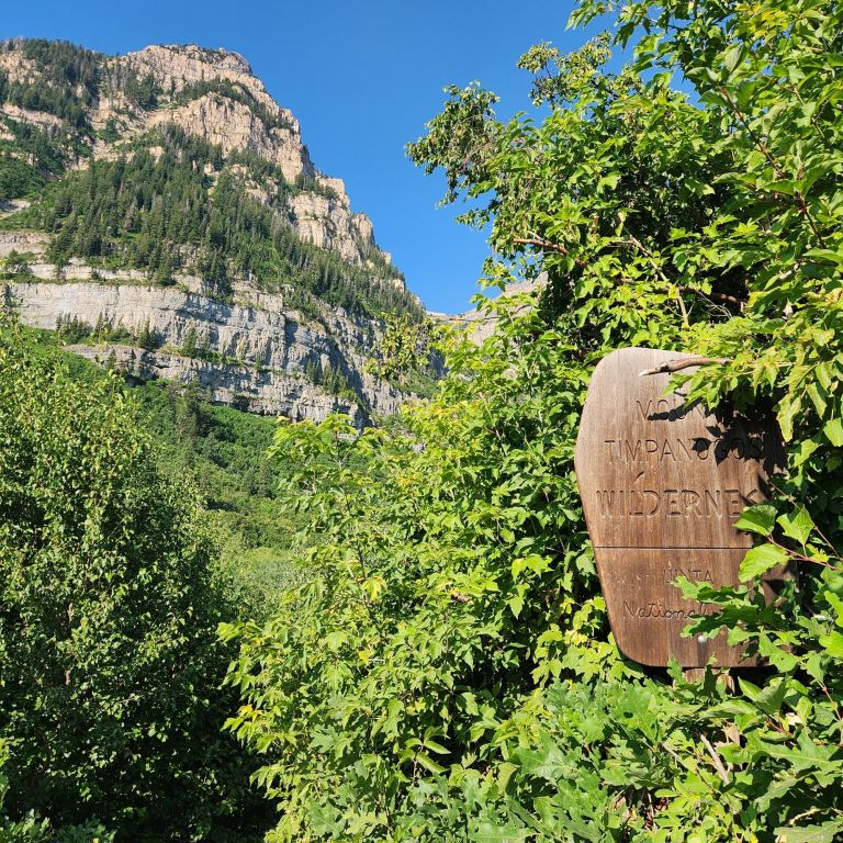 Hike to Emerald Lake via Mount Timpanogos Trail in Utah – 33andfree