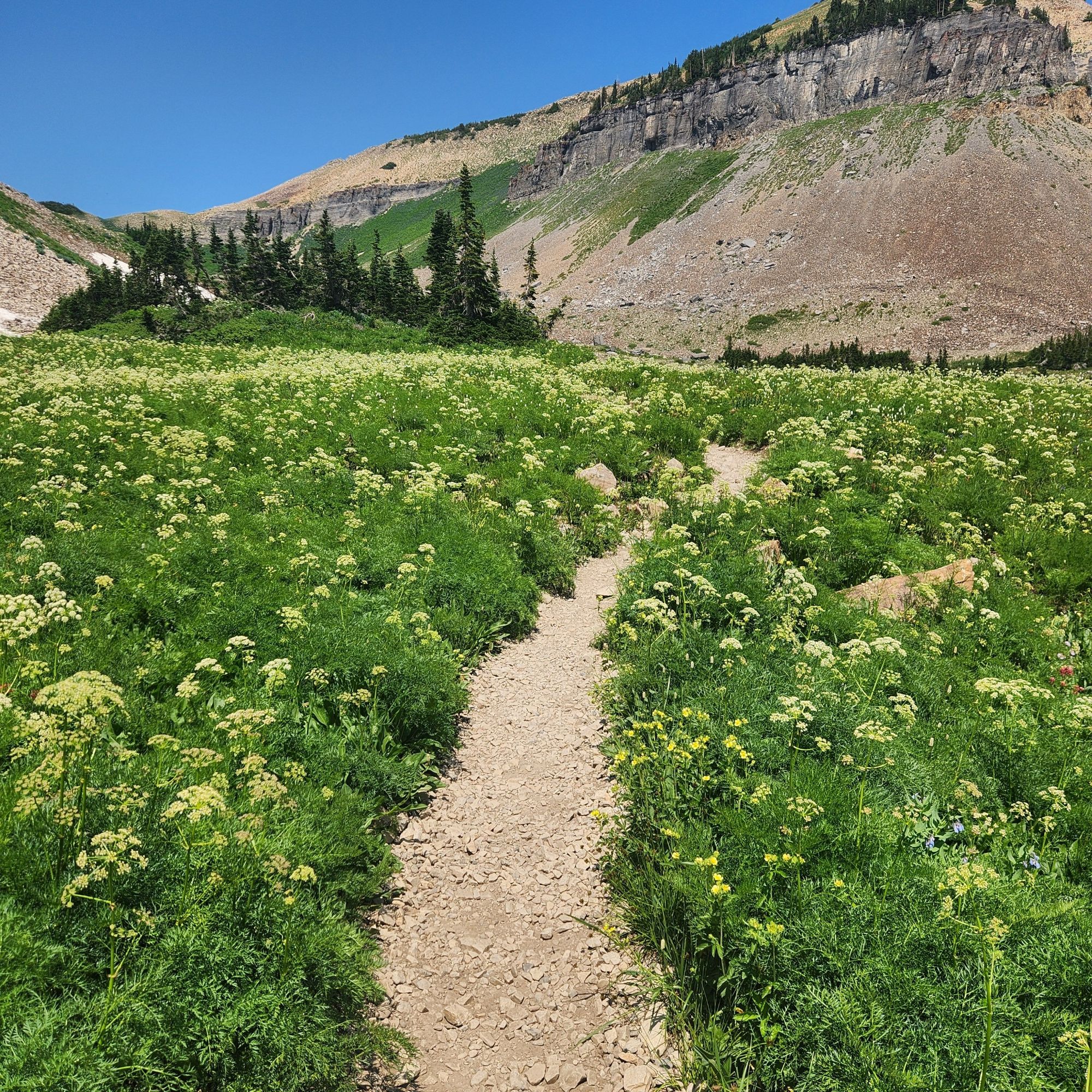 Hike to Emerald Lake via Mount Timpanogos Trail in Utah – 33andfree
