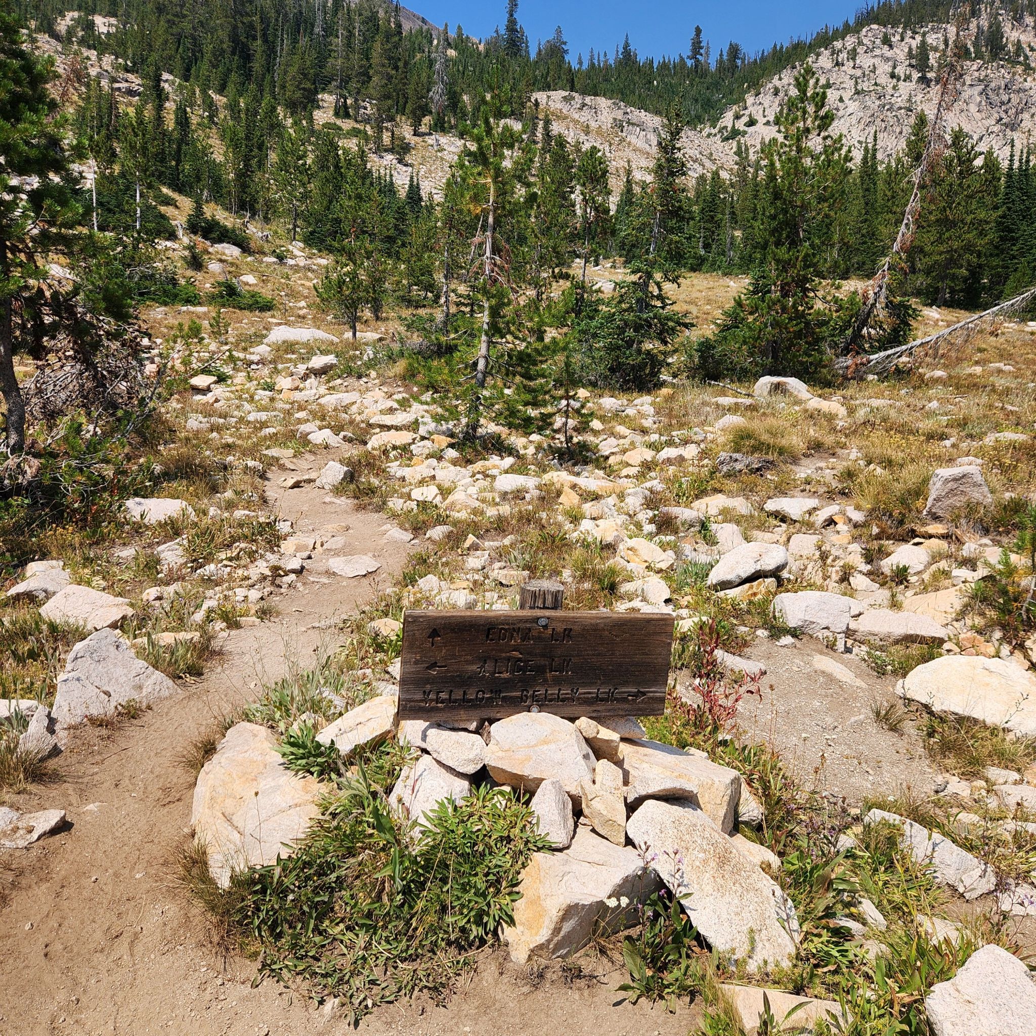 Hike Alice-Toxaway Loop Trail in Stanley, Idaho – 33andfree