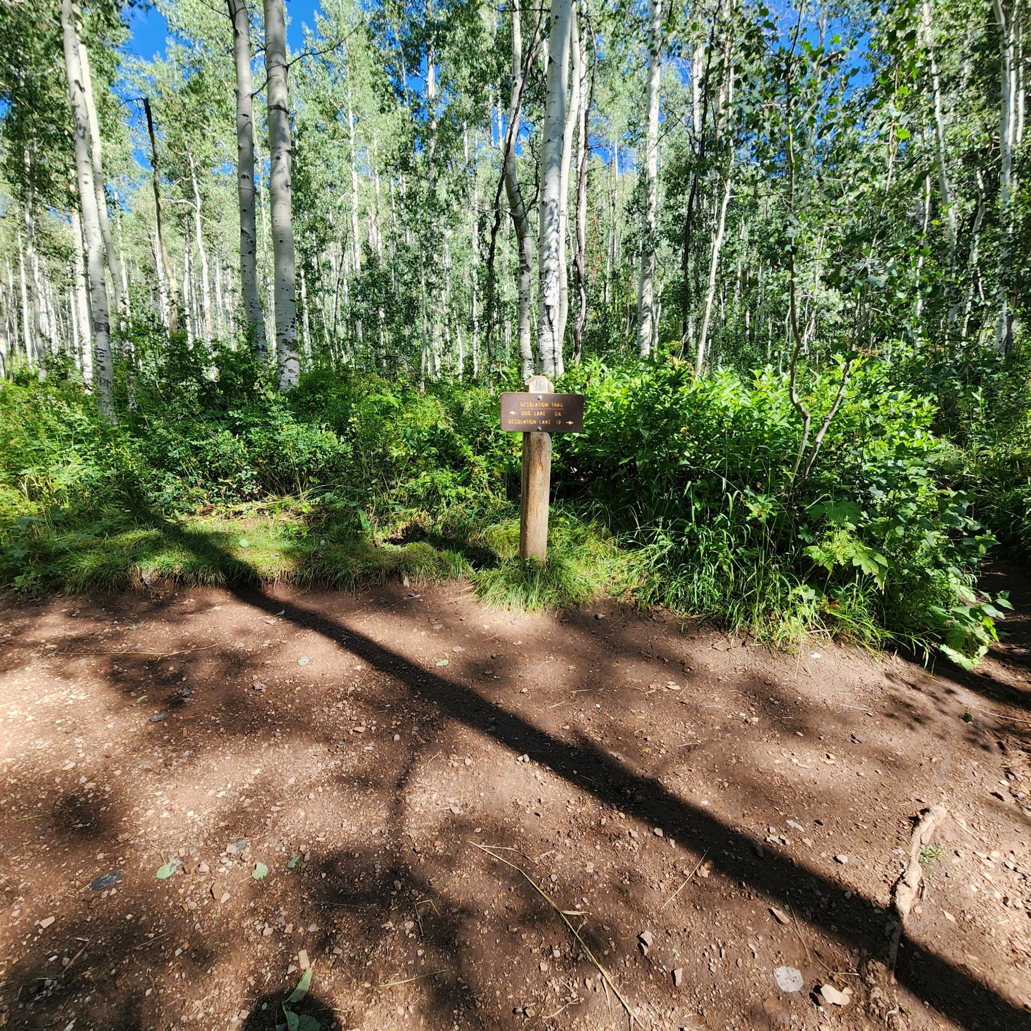 Hike to Desolation Lake via Mill D North Fork Trail, Utah – 33andfree