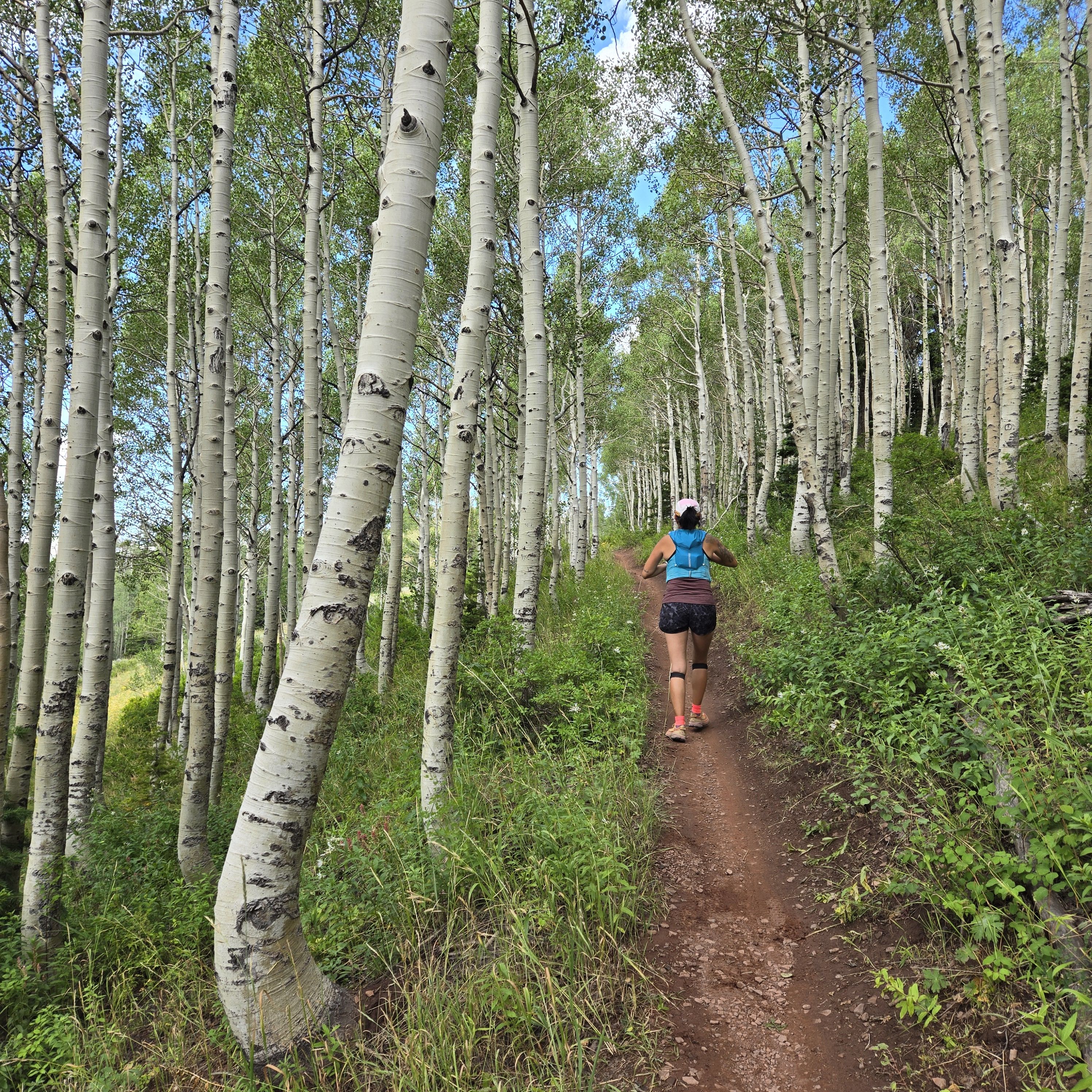 Hike to Desolation Lake via Mill D North Fork Trail, Utah – 33andfree