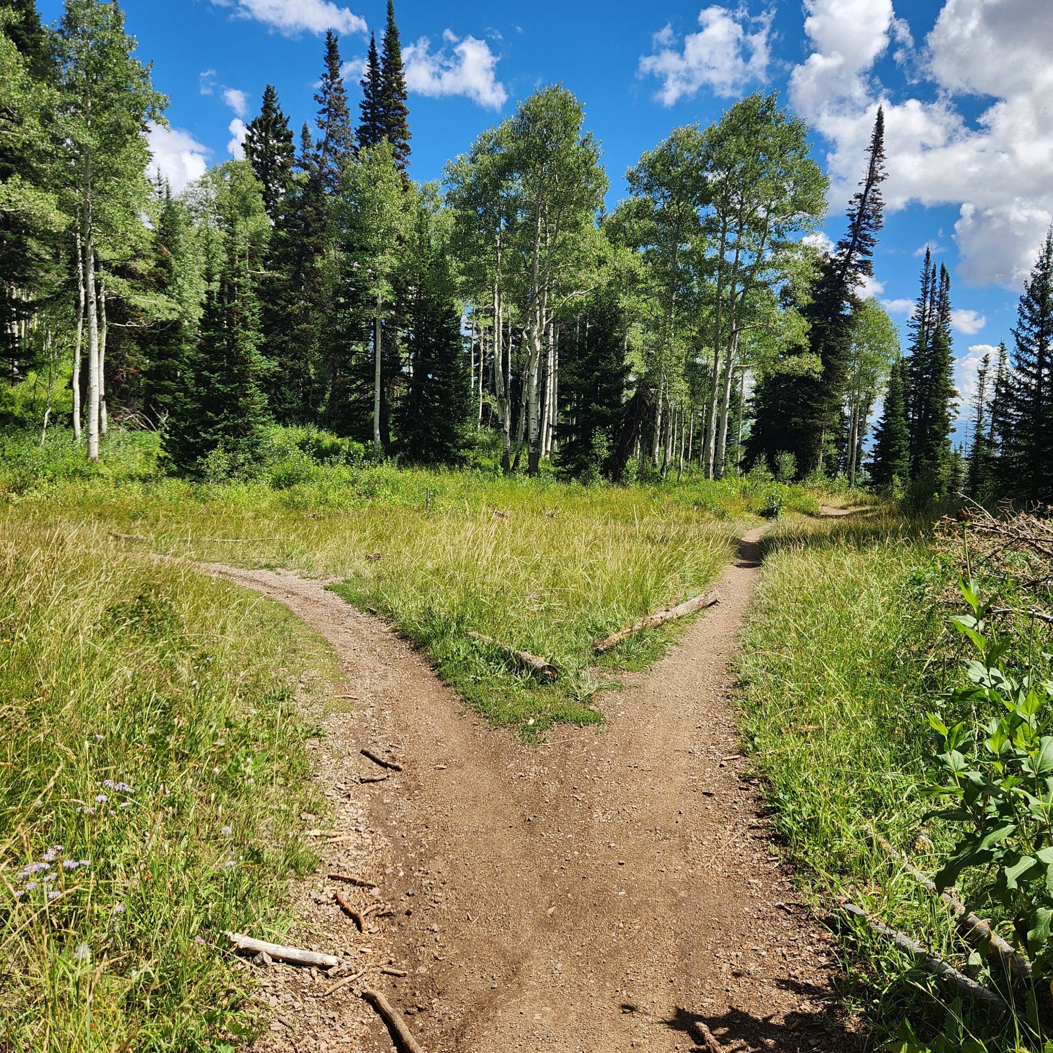 Hike to Desolation Lake via Mill D North Fork Trail, Utah – 33andfree