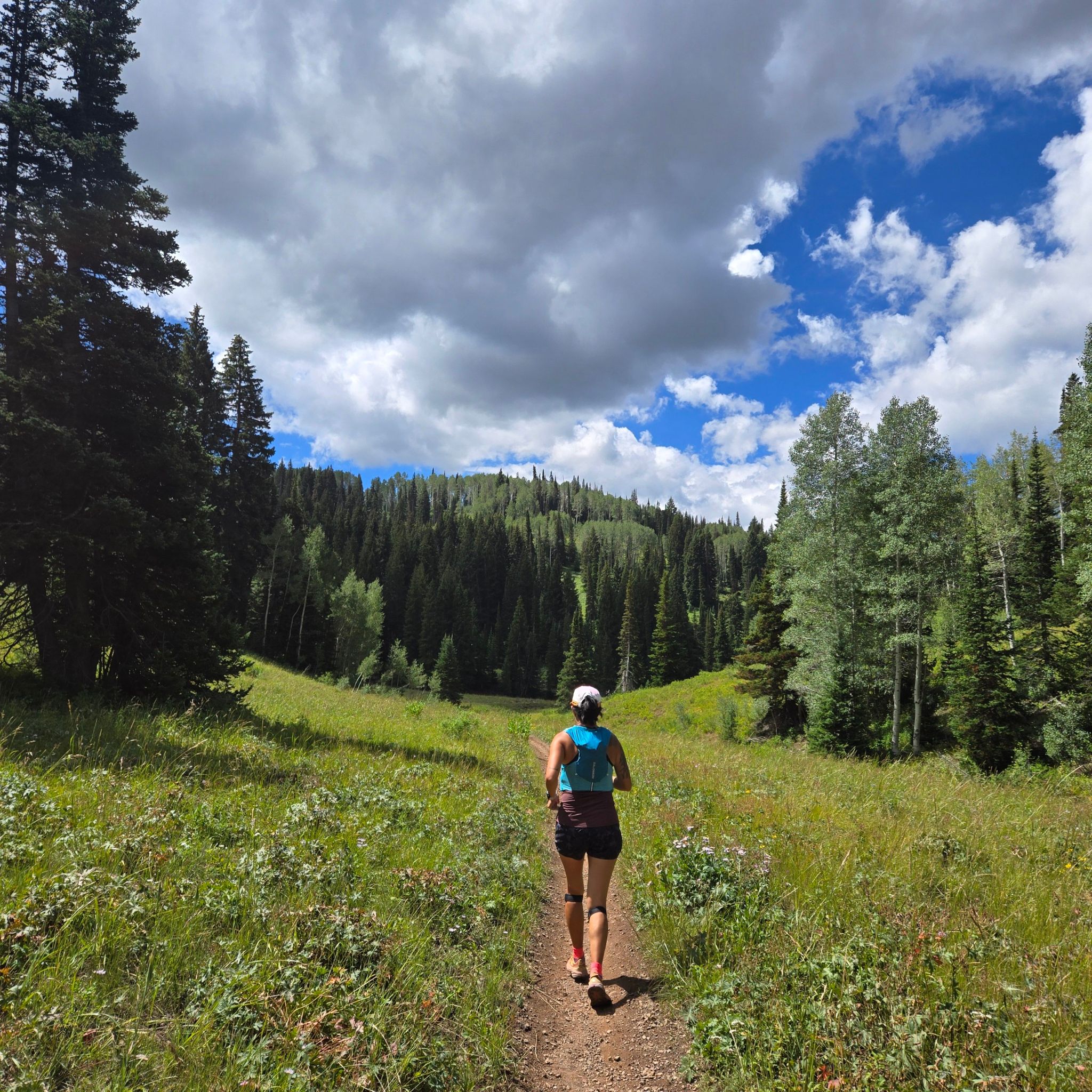 Hike to Desolation Lake via Mill D North Fork Trail, Utah – 33andfree