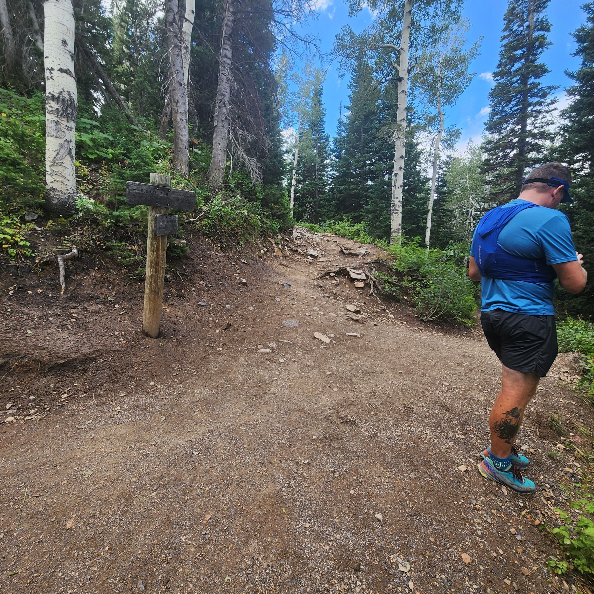 Hike to Desolation Lake via Mill D North Fork Trail, Utah – 33andfree