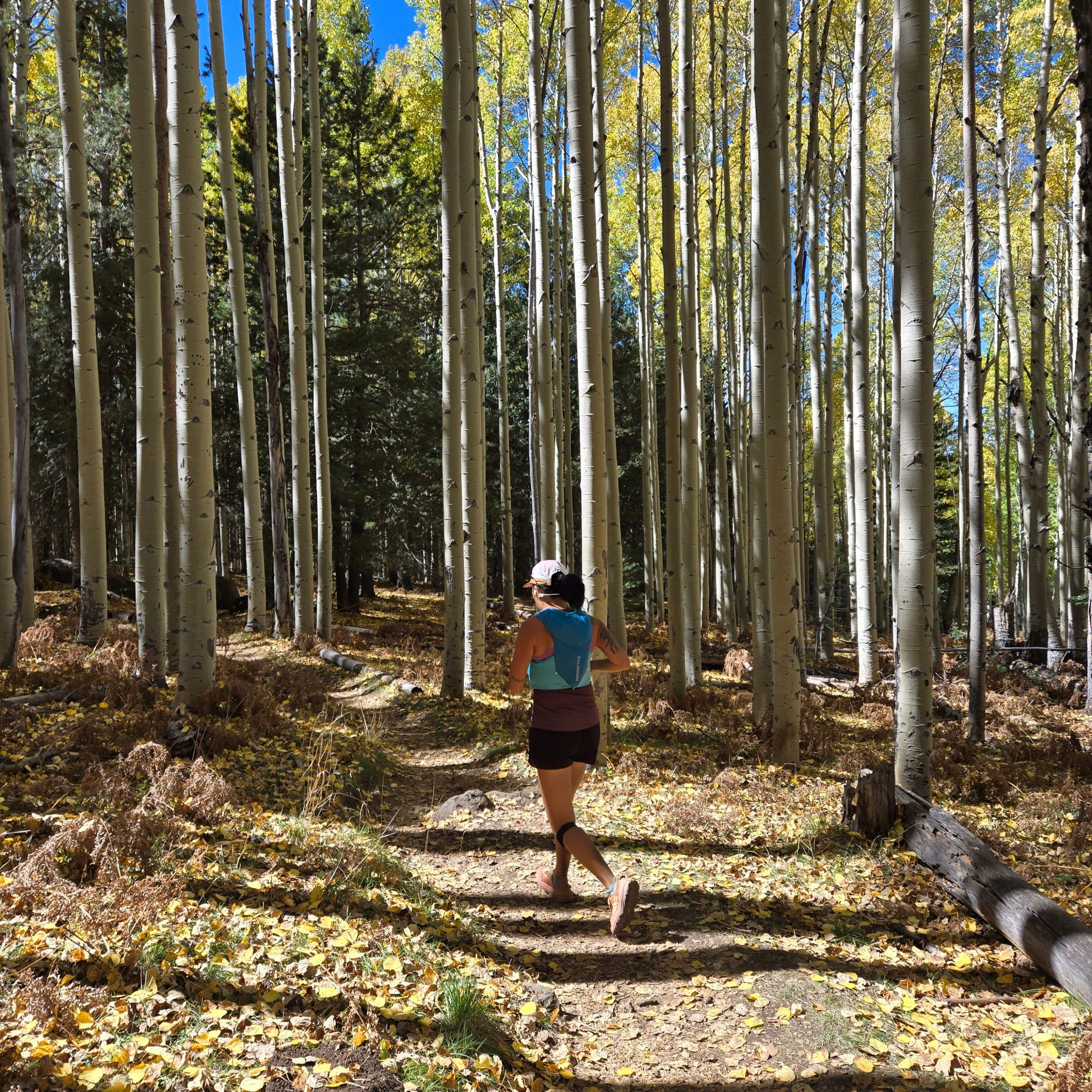 Training for our Second 50k, the Dead Horse Ultra 50k in Moab, Utah ...